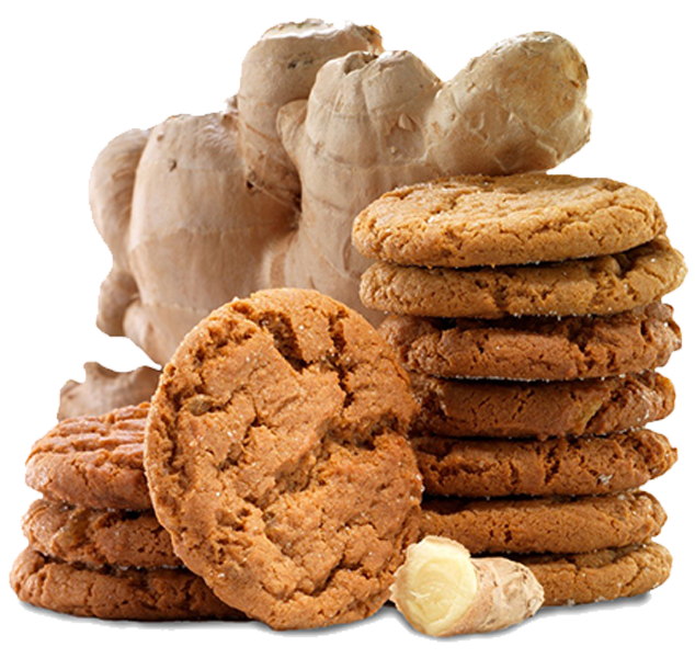 MIGHTY GINGER SNAPS – Lark Fine Foods